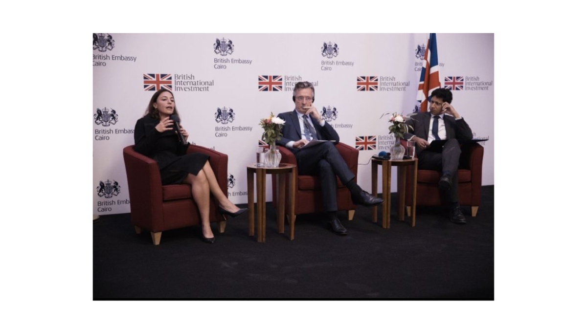British International Investment confirms Egypt's climate partnership ...