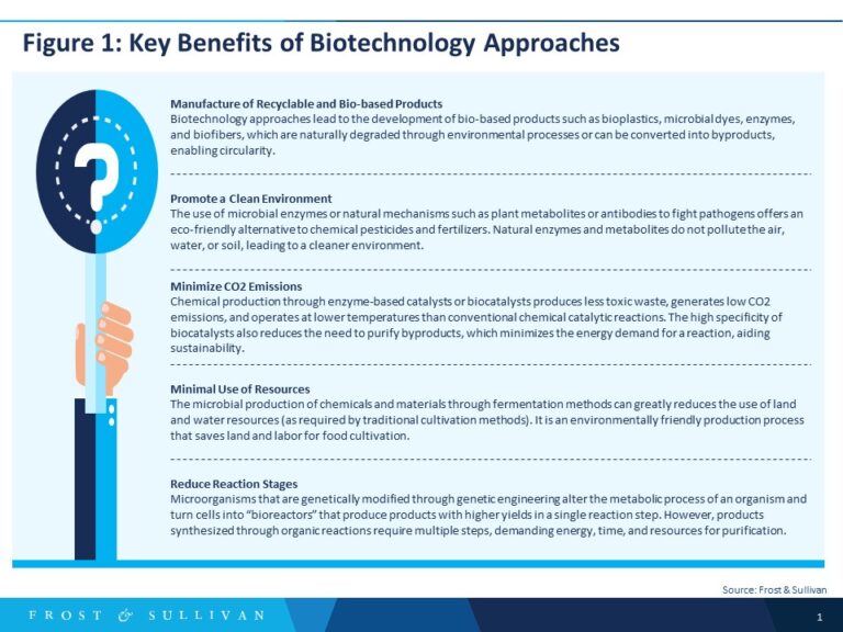 Biotechnology: What’s the Next Step for Sustainability in the Chemicals ...